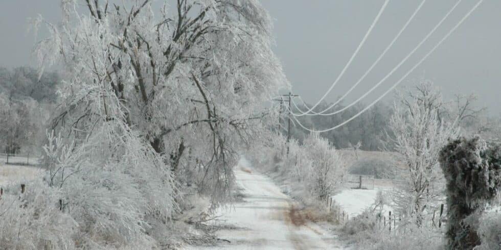 FERC, NERC Release Final Report on Lessons from Winter Storm Elliott - NAES