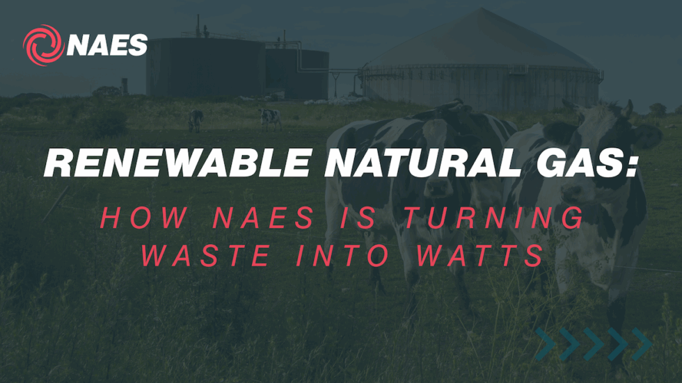 Renewable Natural Gas: How NAES is Turning Waste into Watts - NAES